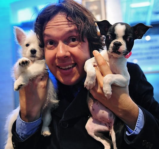 The Dave Hill Explosion | Best New York Comedy